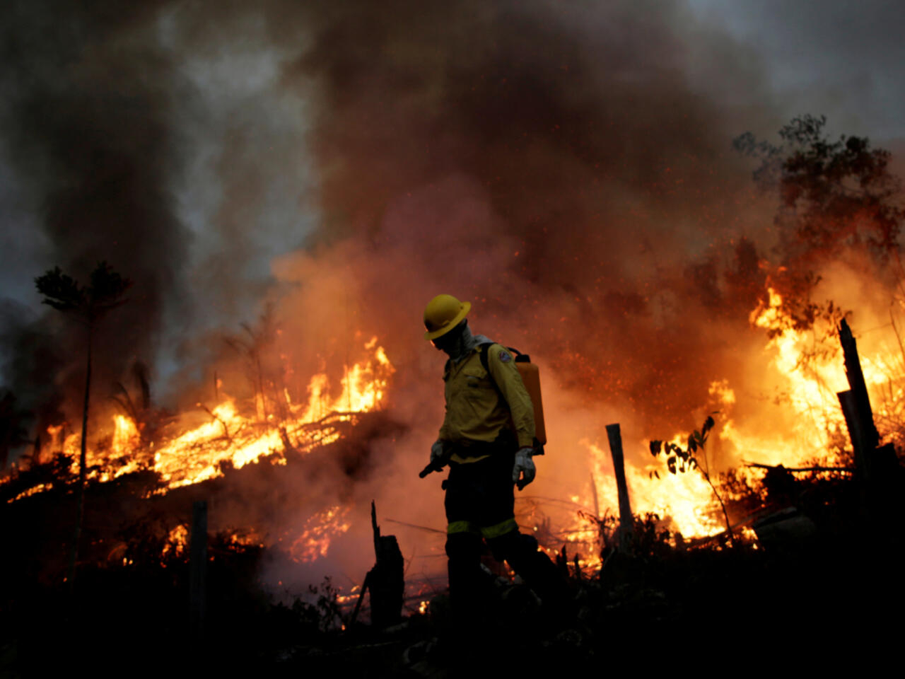 Febrero es el mes que más incendios se han reportado en la Amazonía en ...